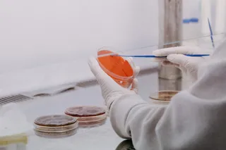 Neuro-immunology research on the up and up, finds GlobalData ...